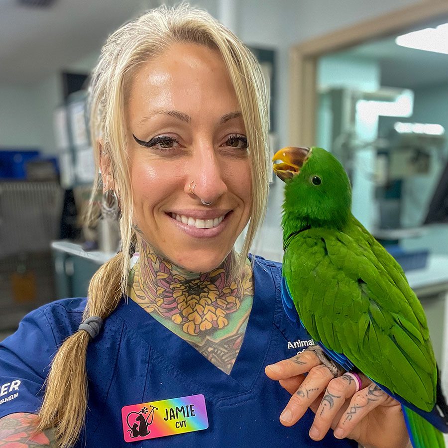 Veterinary Jobs in New Port Richey, FL | Animal Care Center of Pasco County